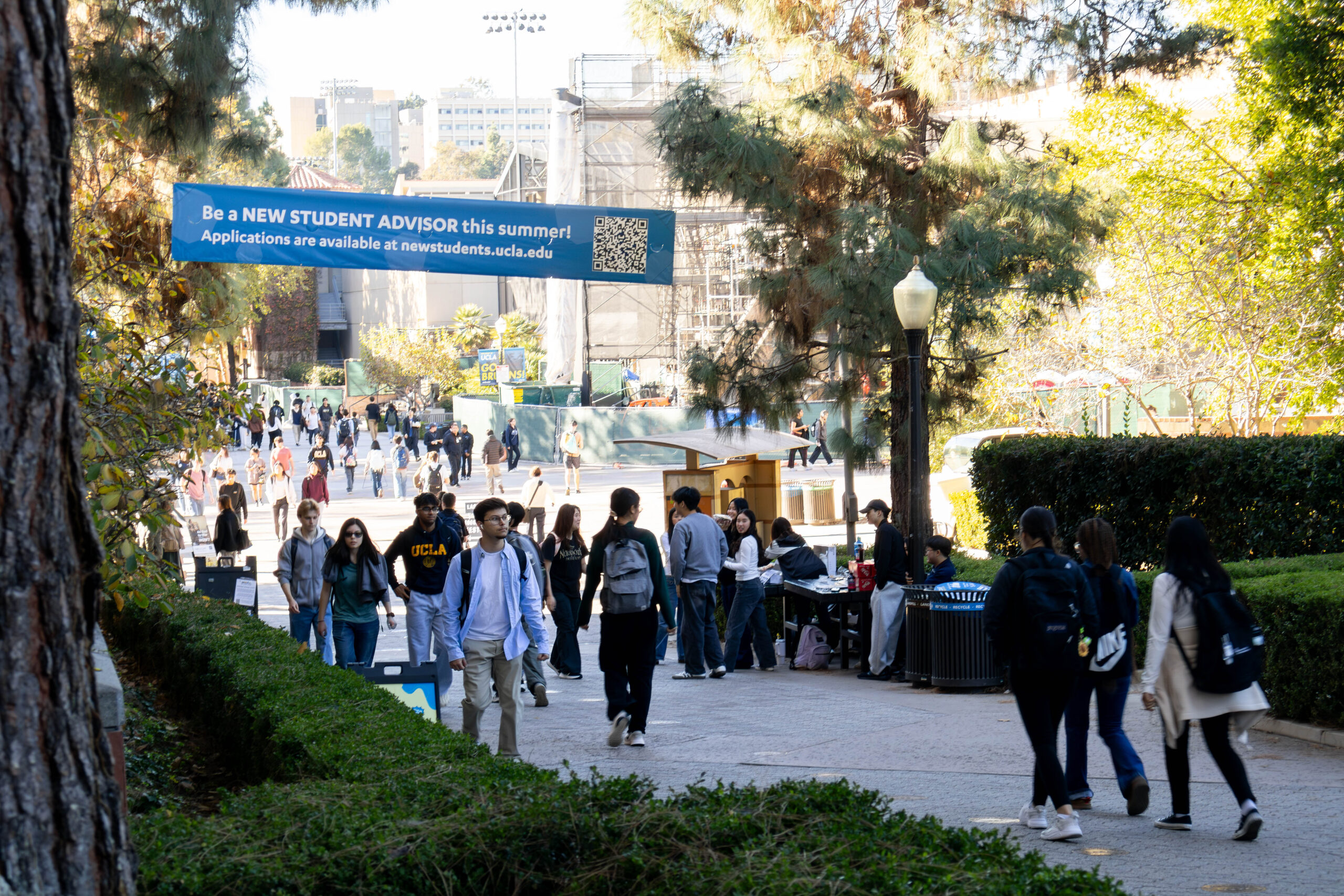 UCLA 101: The unspoken rules – BruinLife