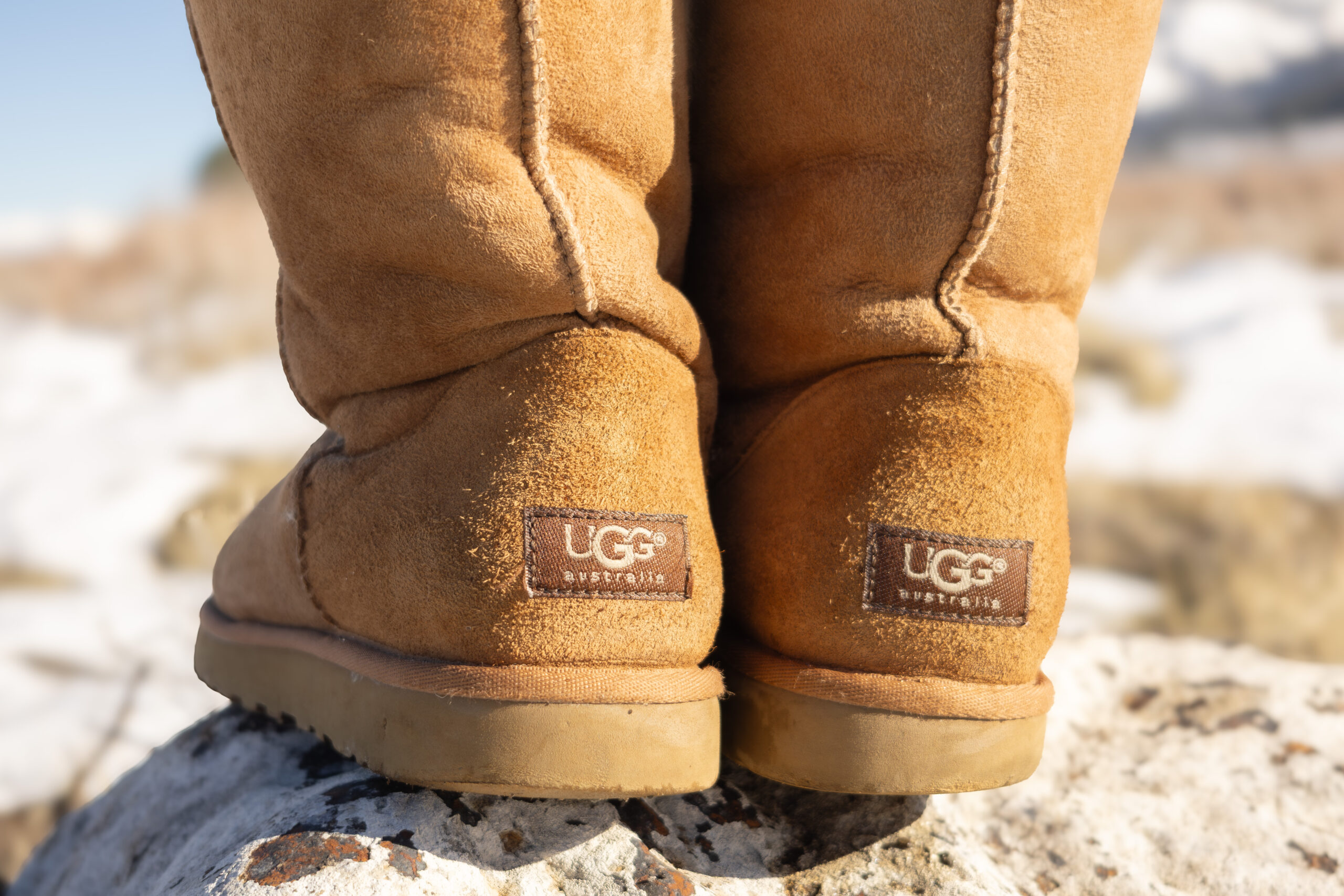 Southern California’s obsession with Uggs – BruinLife