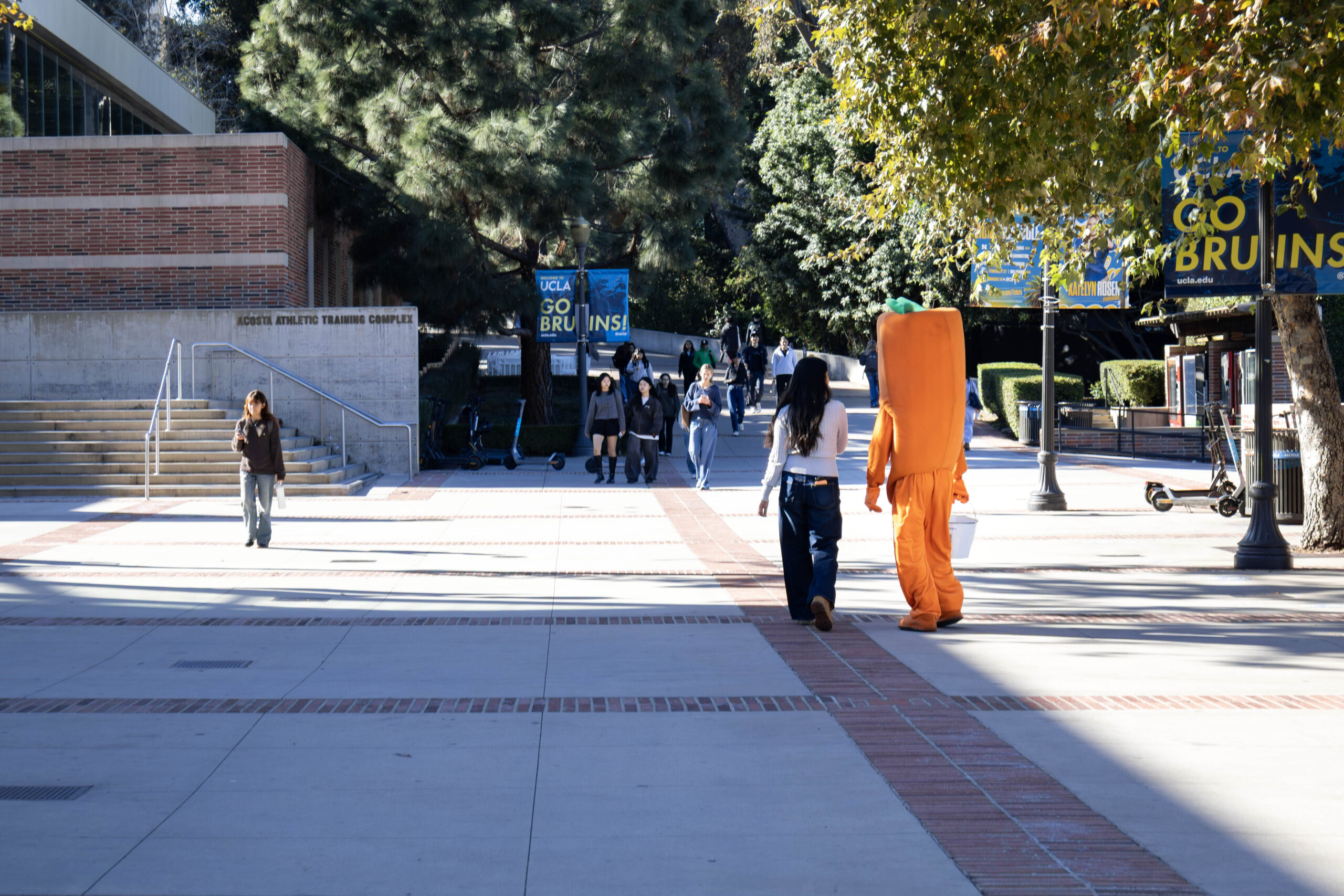 A breakdown of UCLA culture shocks – BruinLife